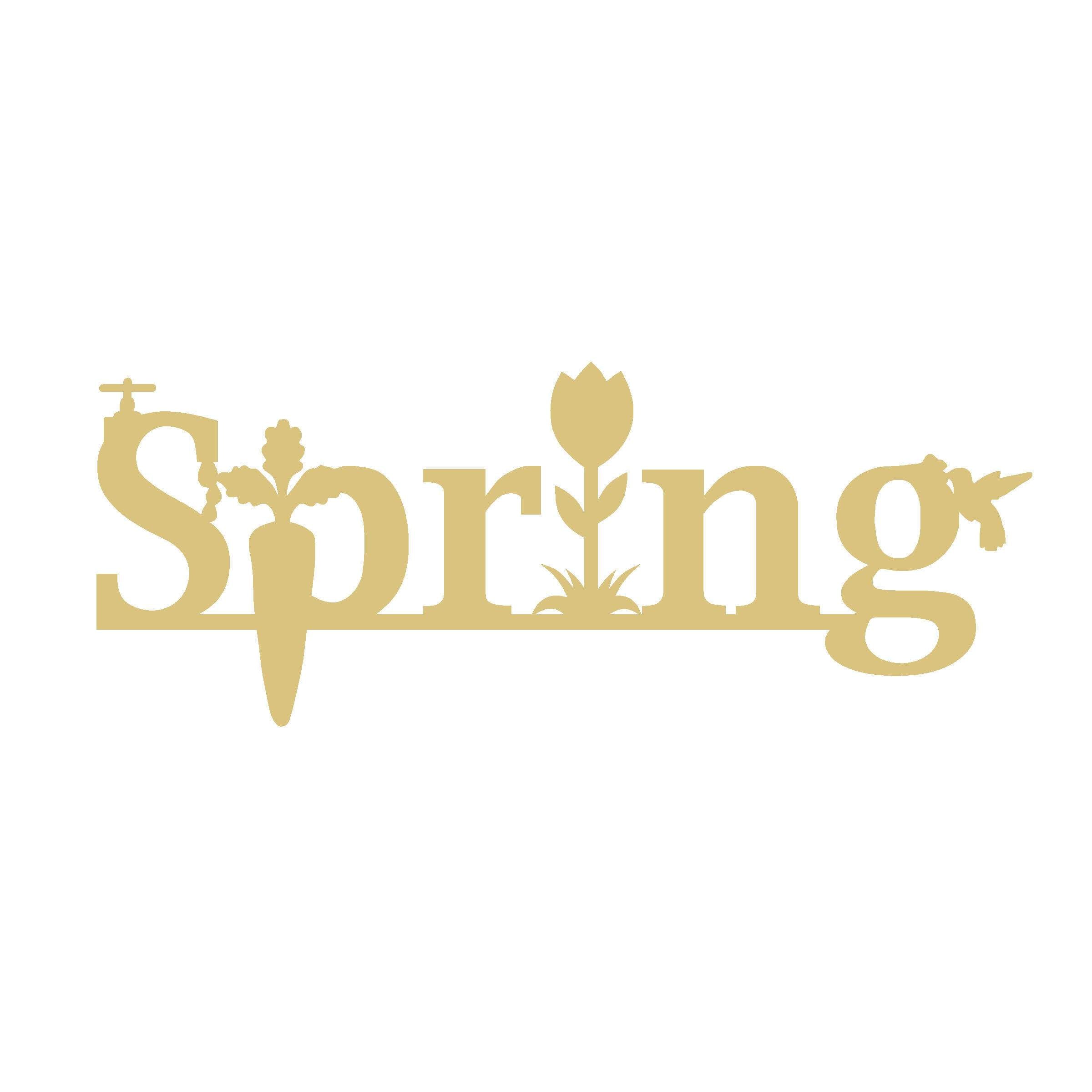 Basic Shape Word MDF Cutout Spring Tulip and Carrot - Unfinished For D ...