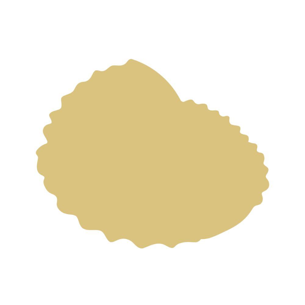 Basic Shape Seashell MDF Cutout Conch Silhouette - Unfinished For DIY ...